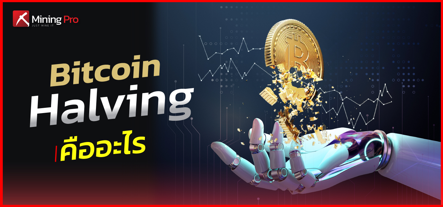Bitcoin Halving คืออะไร และมีความสำคัญอย่างไร? • Mining Pro