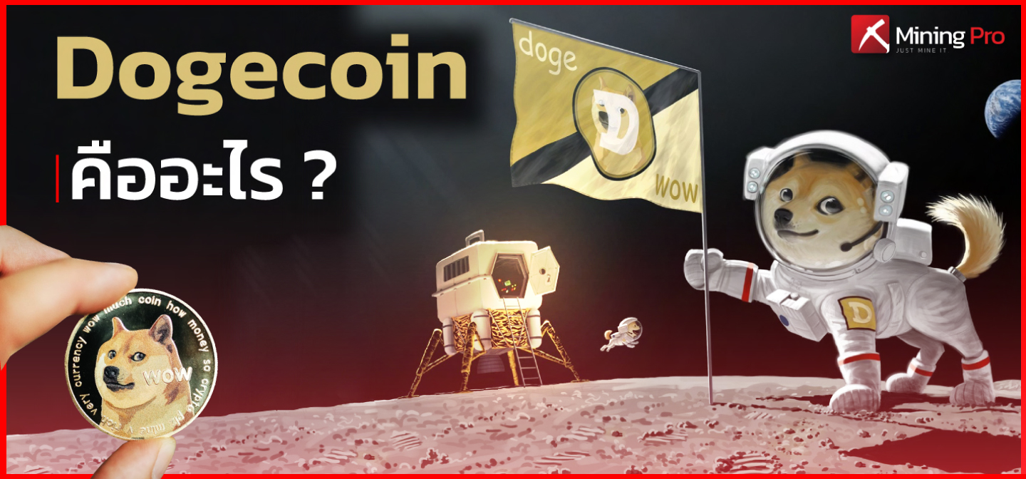 Dogecoin (DOGE) คืออะไร มีความเป็นมาอย่างไร ? • Mining Pro